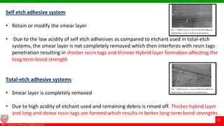 Hybrid layer | PPTX