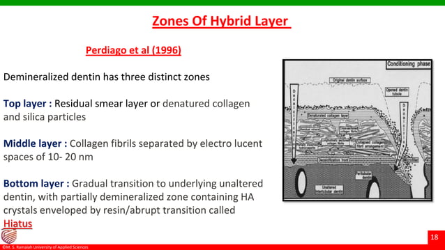 Hybrid layer | PPTX