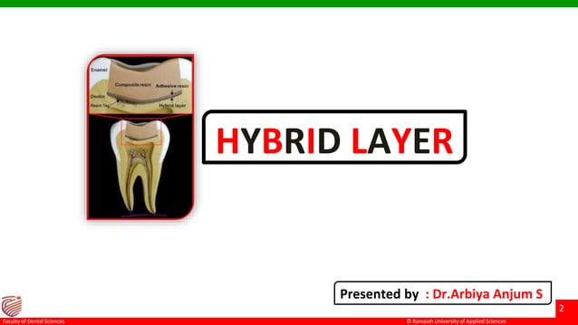 Hybrid layer | PPTX