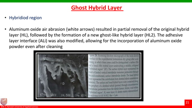 Hybrid layer | PPTX