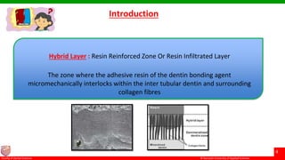Hybrid layer | PPTX