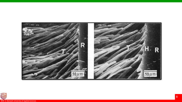 Hybrid layer | PPTX