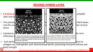 Hybrid layer | PPT