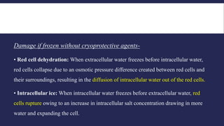 1. Bio preservation of Red Cell Components 2. CULTURED RBCs 3. solvent ...