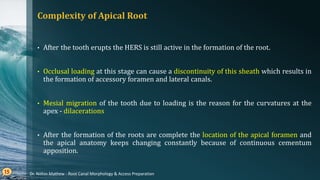 Root Canal Morphology & Access Preparation | PDF