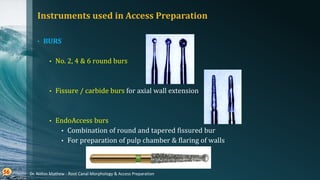 Root Canal Morphology & Access Preparation | PDF