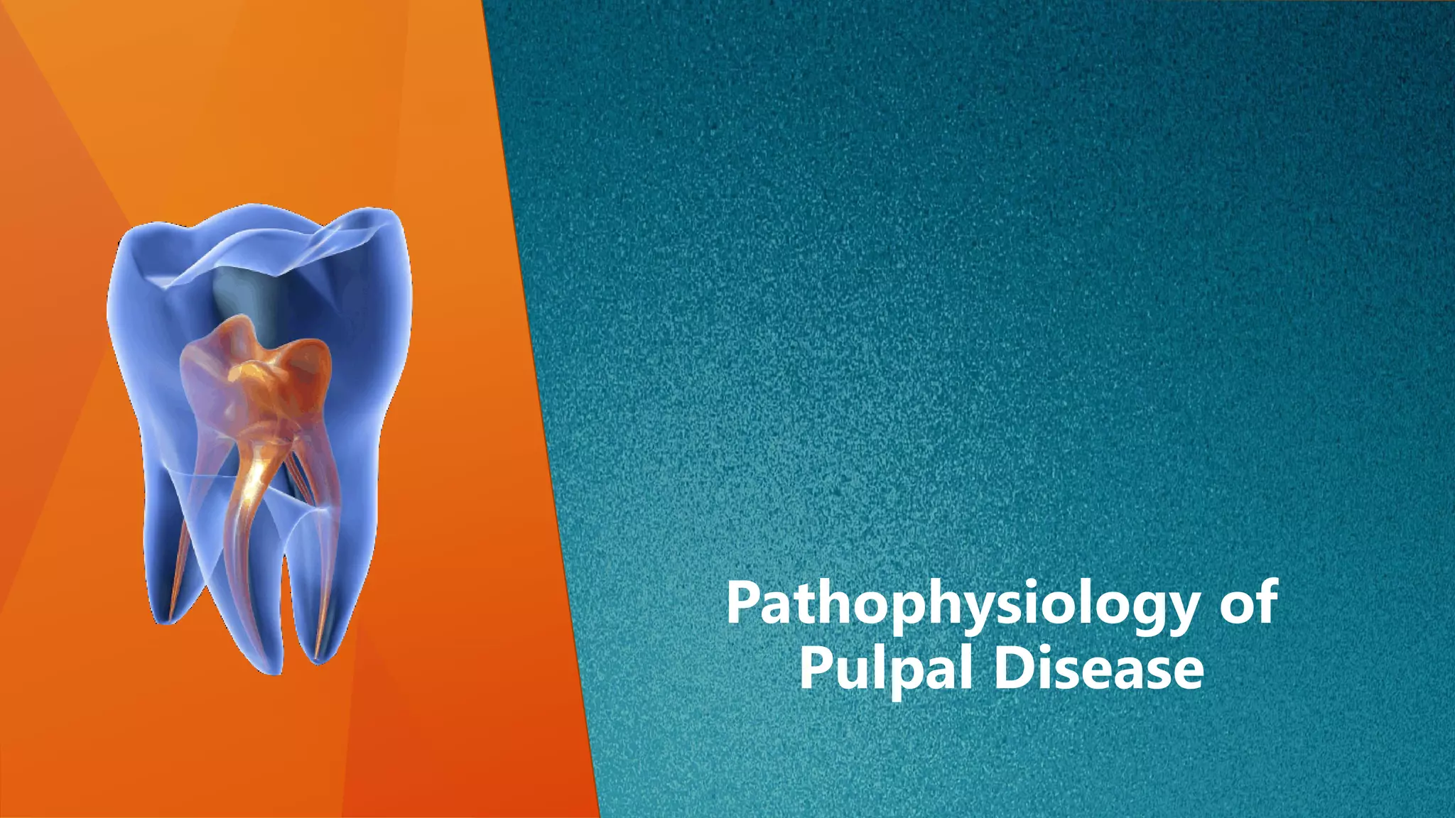 Diseases of the Pulp | PDF