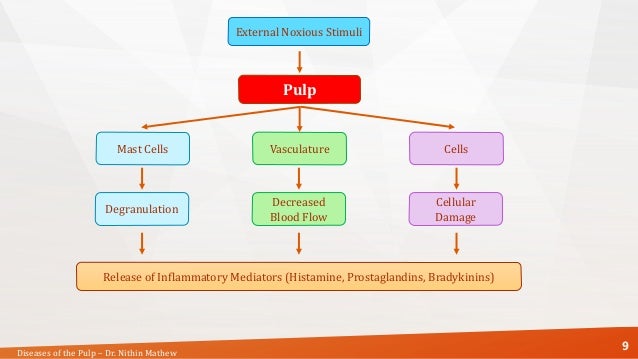 Diseases of the Pulp