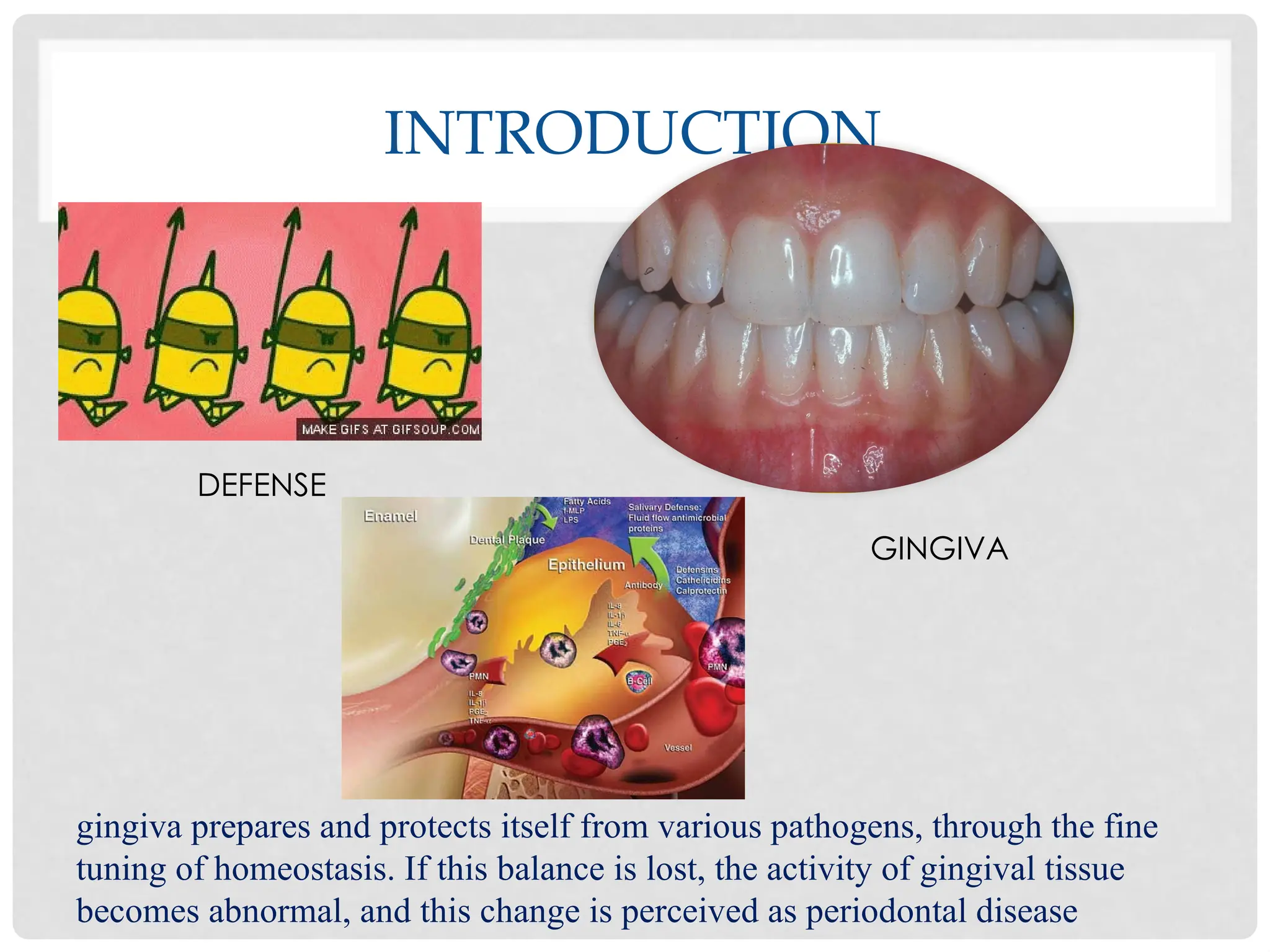 Various Defense mechanism of gingiva.pptx