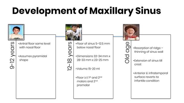 Maxillary sinus imaging | PPTX | Ear, Nose and Throat Conditions ...