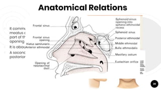 Maxillary sinus imaging | PPTX