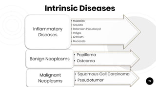 Maxillary sinus imaging | PPTX