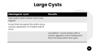 Maxillary sinus imaging | PPTX