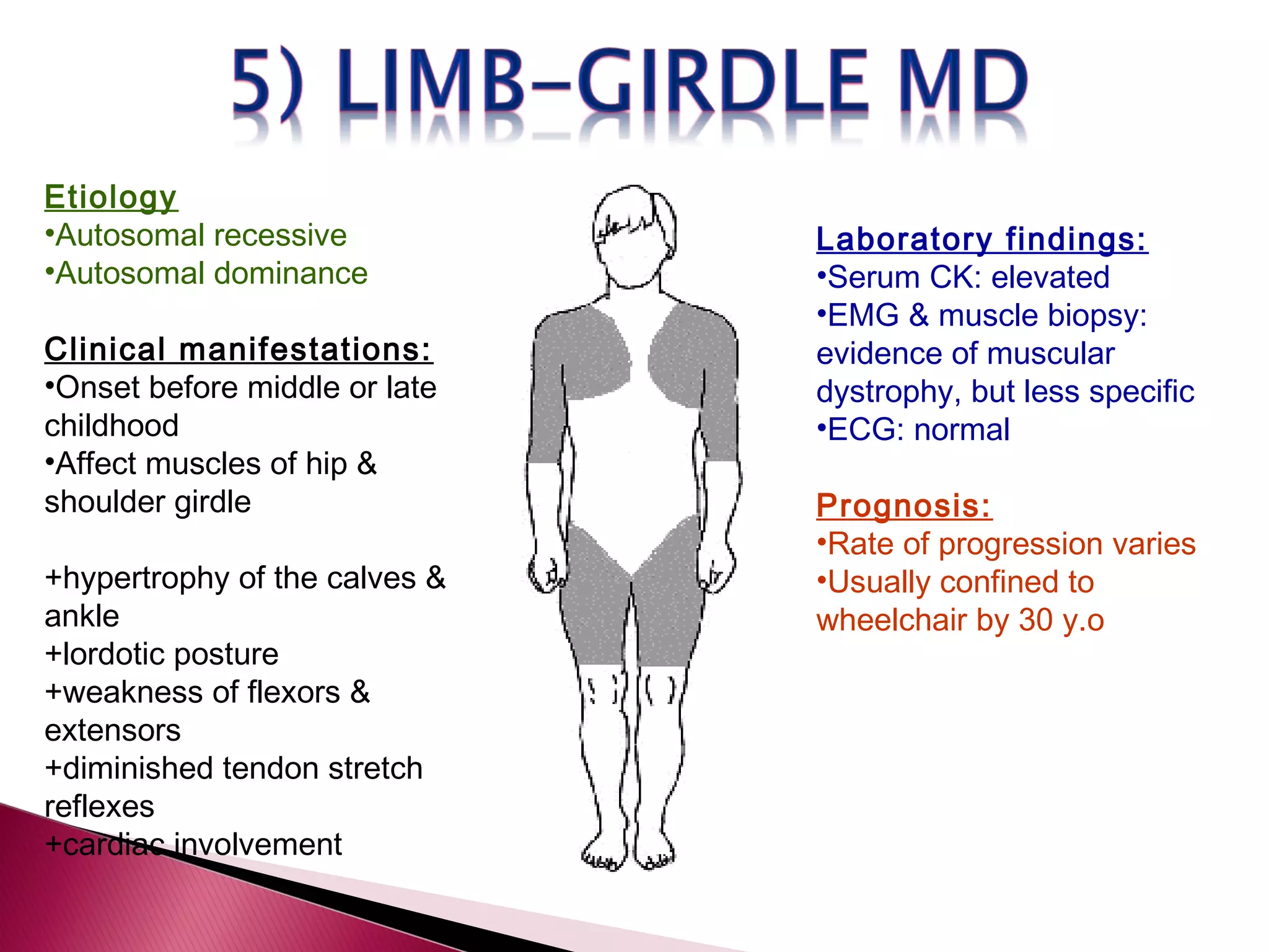 Muscle Dystrophy | PPT