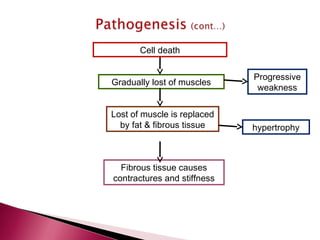 Muscle Dystrophy | PPT