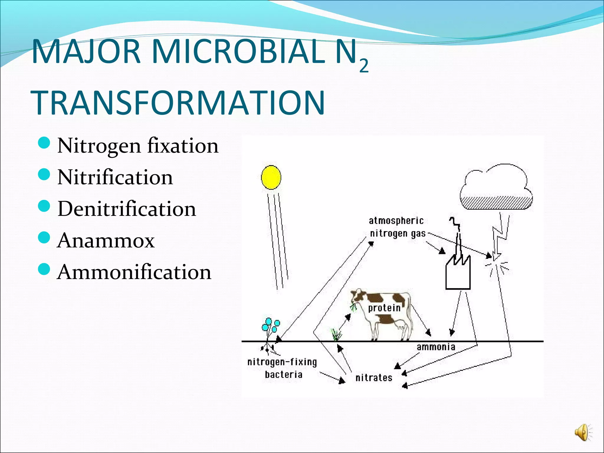 MICROORGANISMS AND NITROGEN CYCLE | PPT