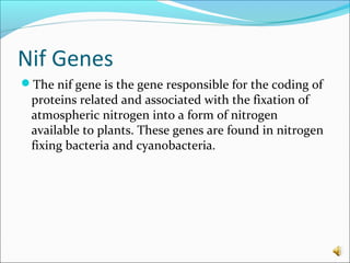 MICROORGANISMS AND NITROGEN CYCLE | PPT