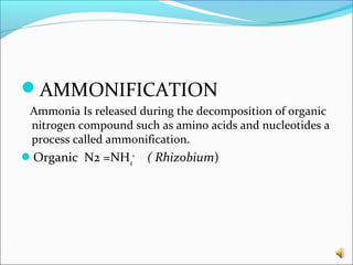 MICROORGANISMS AND NITROGEN CYCLE | PPT