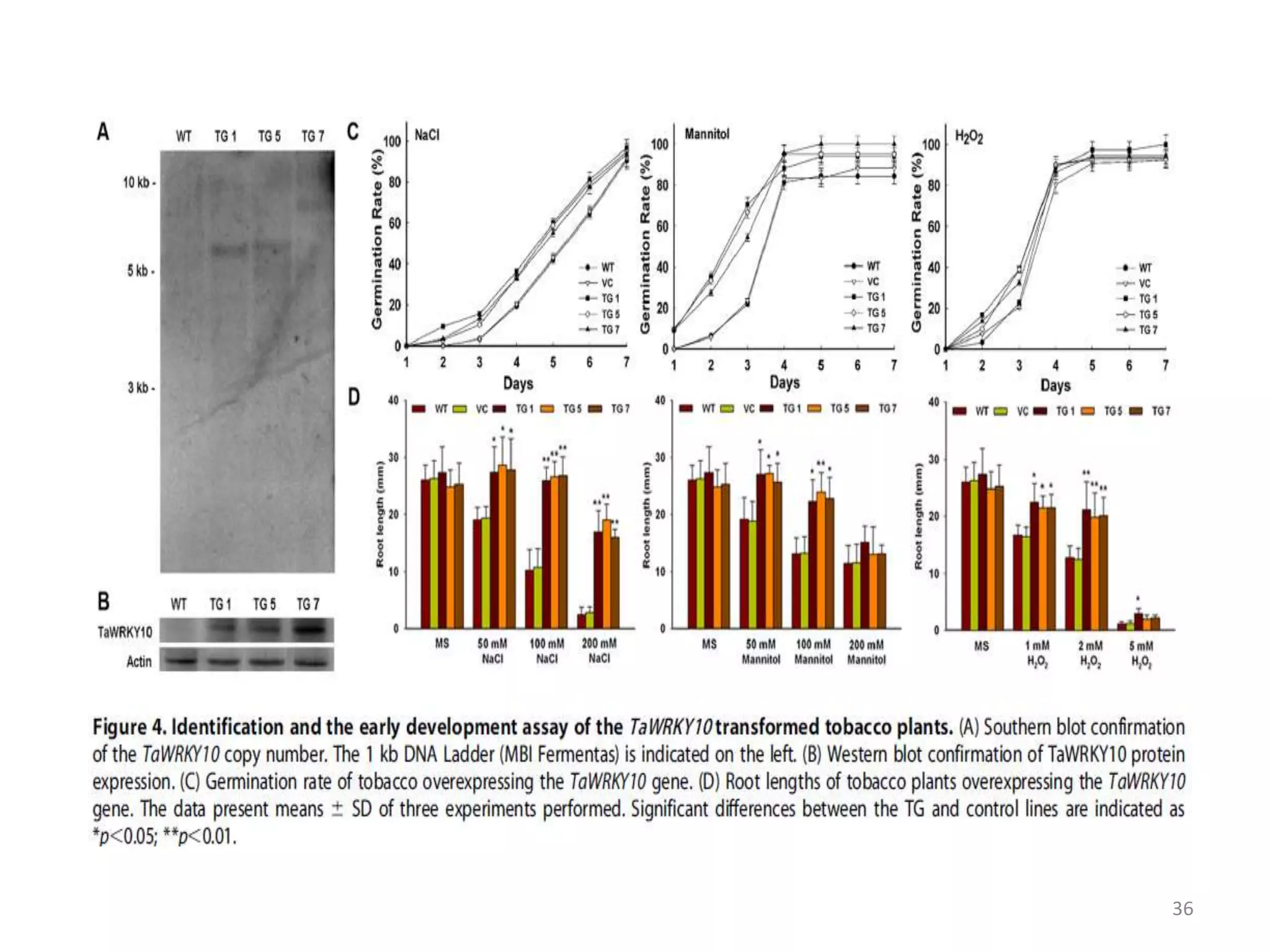 Seminar abiotic stress | PPTX