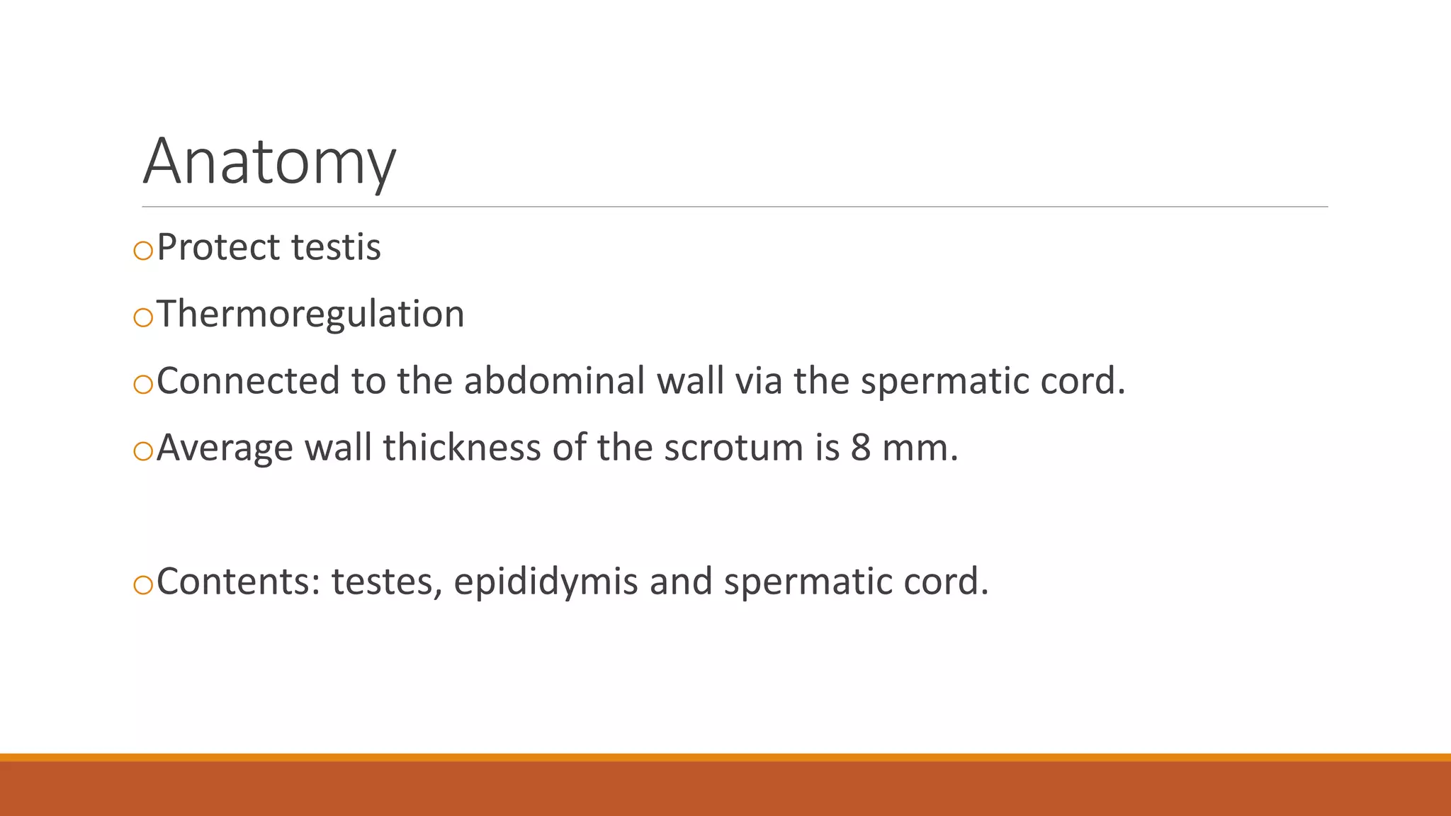 Acute Scrotum | PPTX