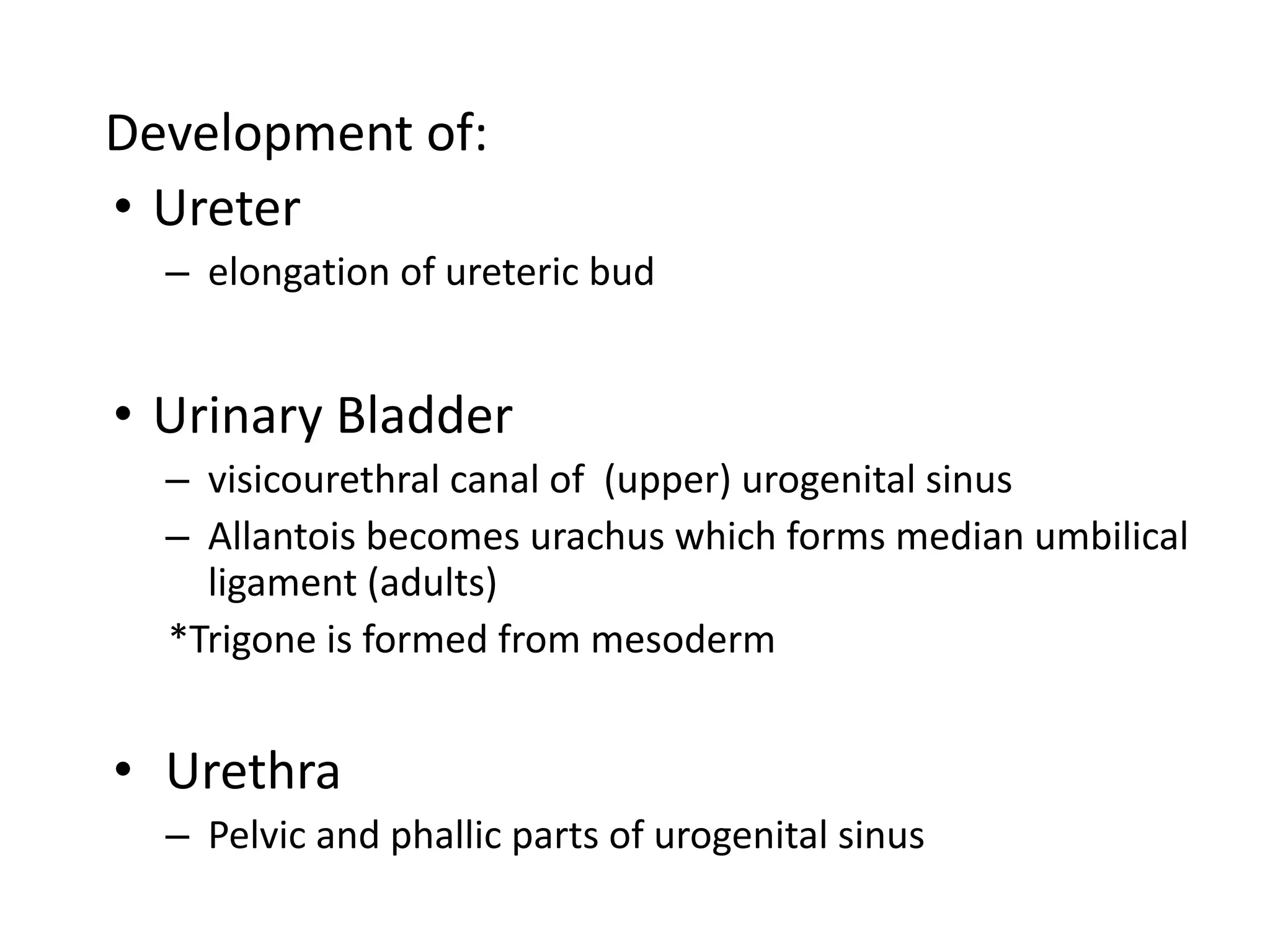 Development of hindgut and urogenital system | PDF