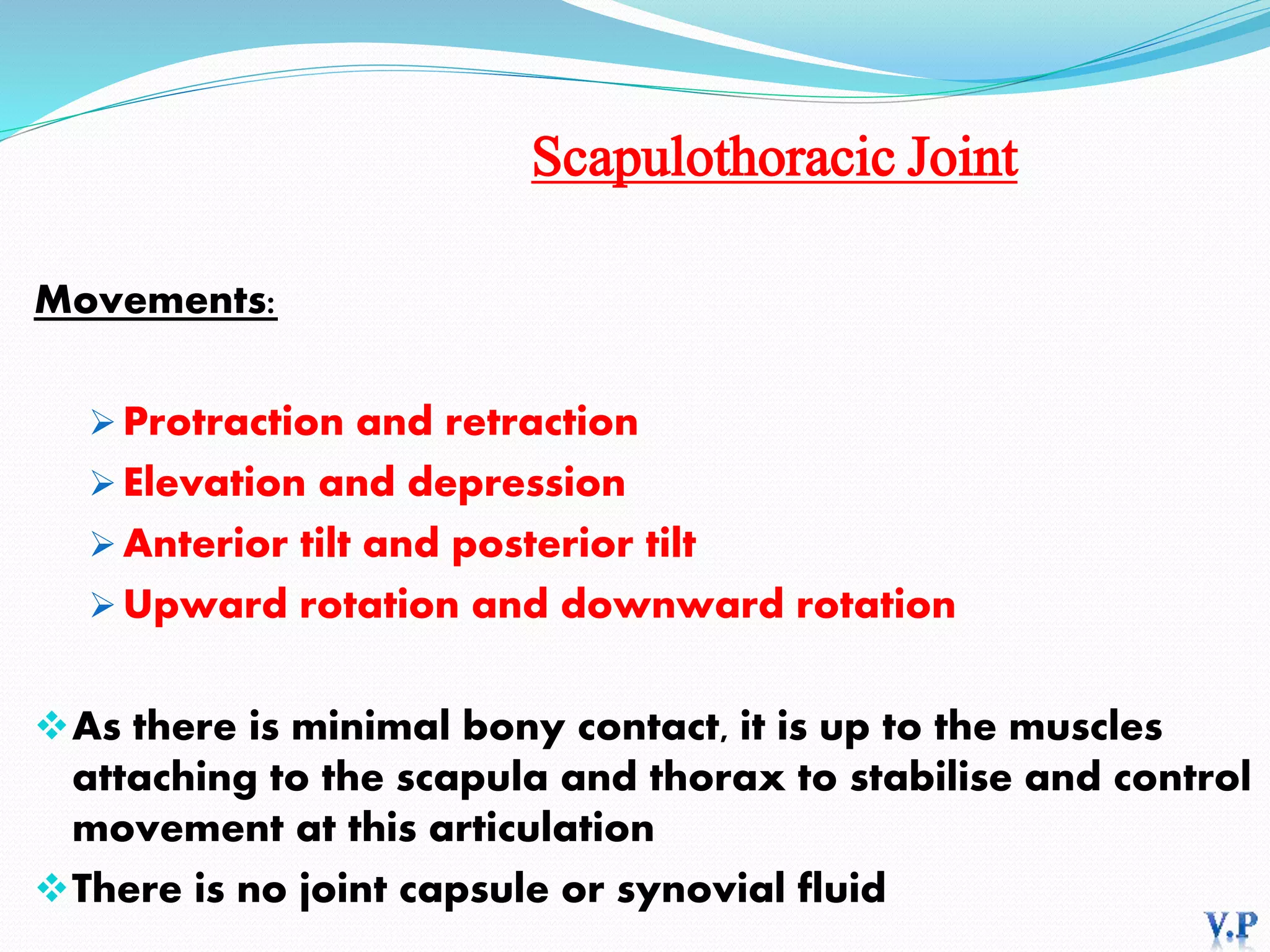 Anatomy of shoulder joint | PPTX