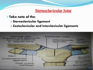Anatomy of shoulder joint | PPTX
