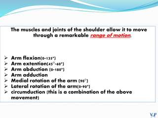 Anatomy of shoulder joint | PPTX