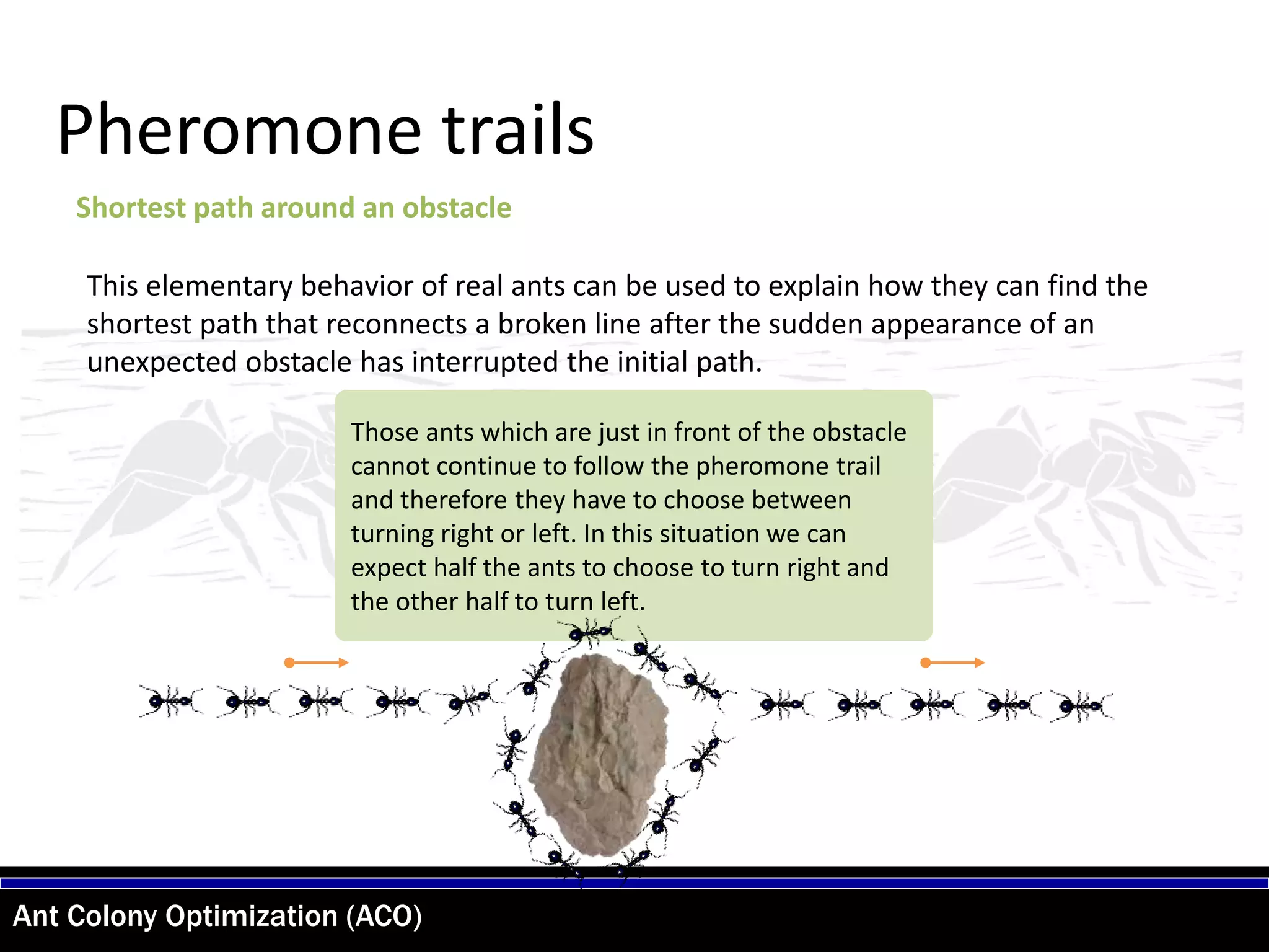 ant colony algorithm | PPTX