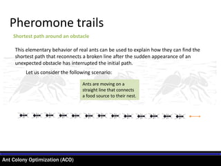 ant colony algorithm | PPTX