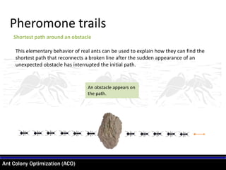 ant colony algorithm | PPTX