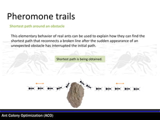 ant colony algorithm | PPTX