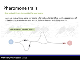 ant colony algorithm | PPTX