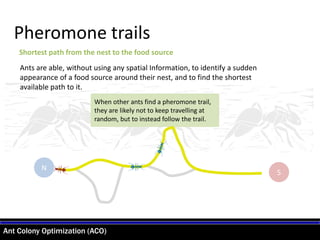 ant colony algorithm | PPTX