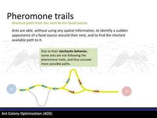 ant colony algorithm | PPTX