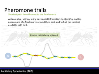 ant colony algorithm | PPTX