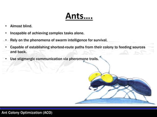 ant colony algorithm | PPTX