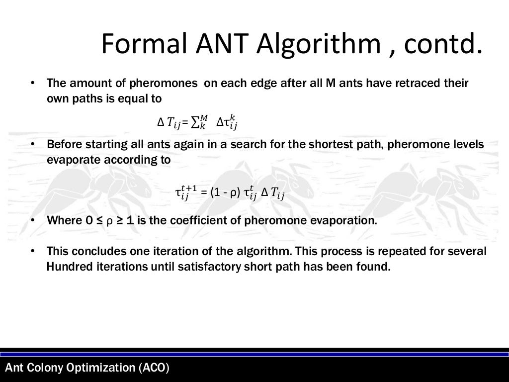Ant Colony Algorithm