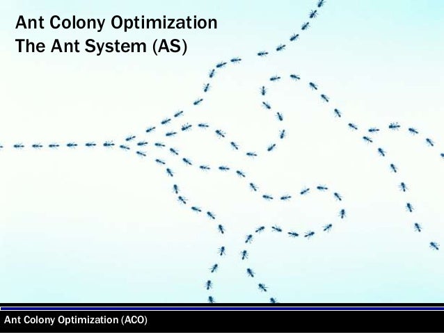 Ant Colony Algorithm
