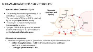 GLUTAMATE SIGNALING IN BRAIN DEVELOPMENT AND CIRCUIT F0RMATION | PPTX