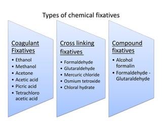 Fixatives | PPTX