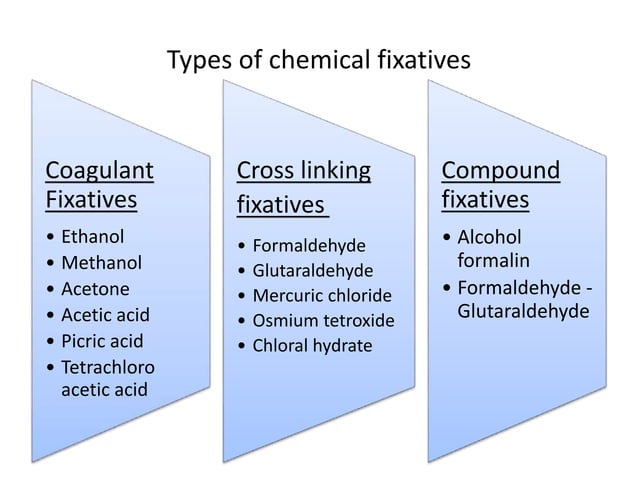 Fixatives | PPTX