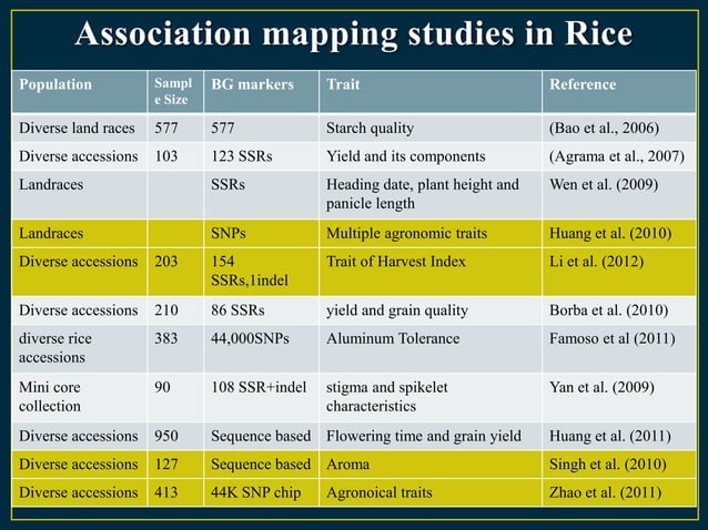 Association Mapping Ppt
