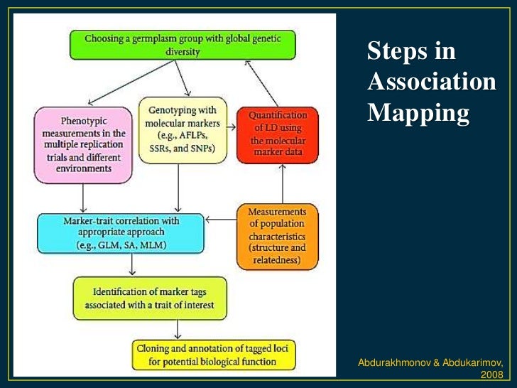 Association Mapping