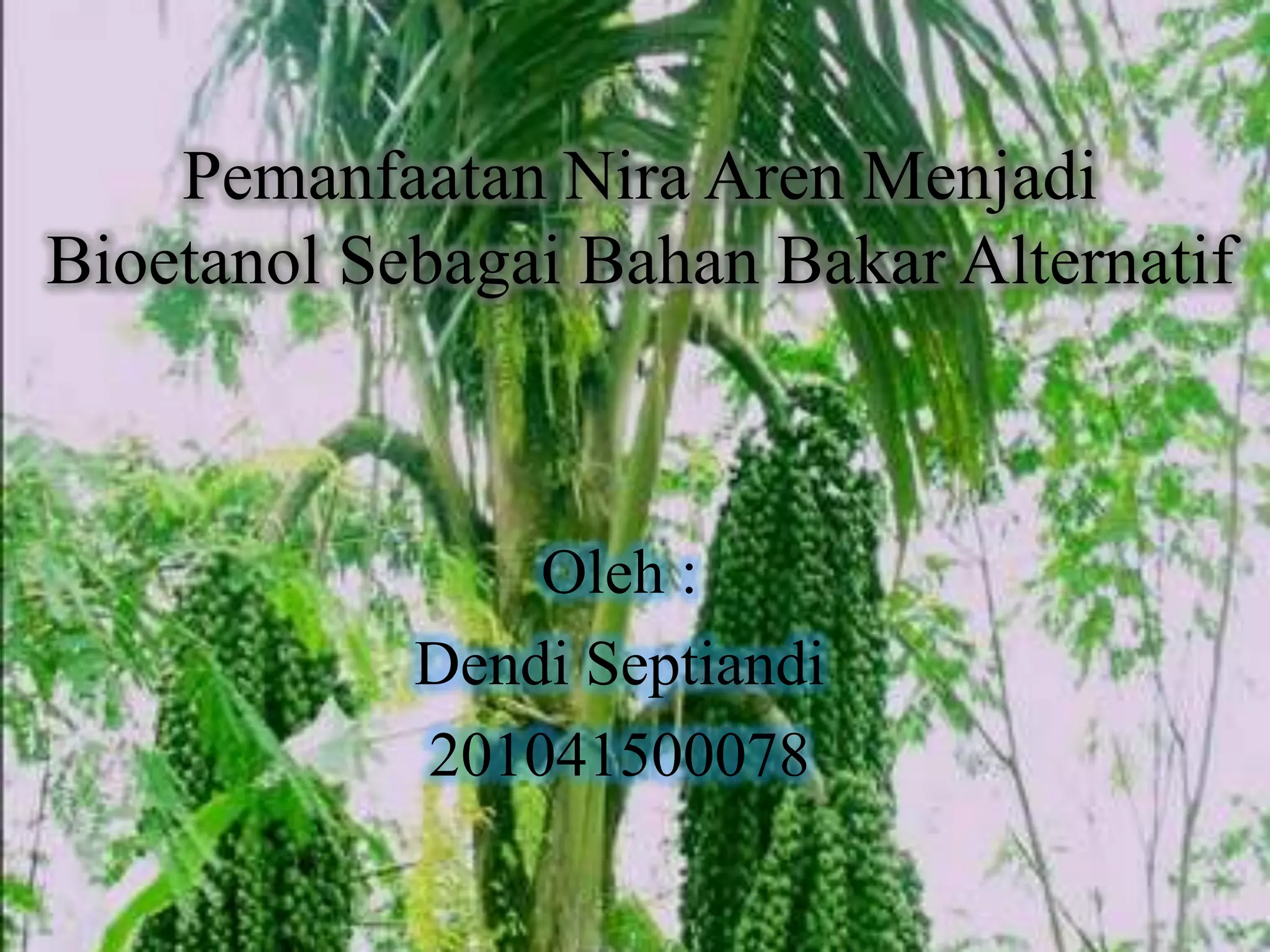 teknologi biofuel | PPTX