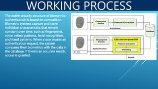 SEMINAR_BIOMETRIC of hand fingerprint,voice bsed biometric ,eye based ...