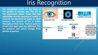 SEMINAR_BIOMETRIC of hand fingerprint,voice bsed biometric ,eye based biometric | PPT