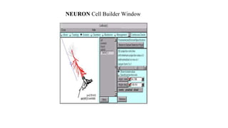 Seminar blue brain | PPTX