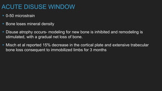 Bone physiology and metabolism | PPTX
