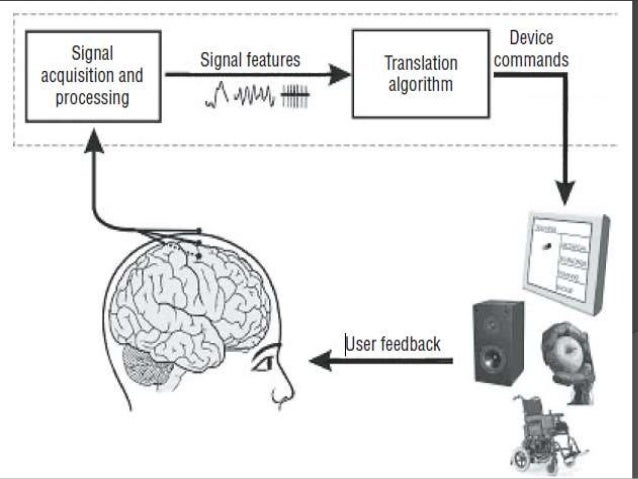 Brain Finger-Printing